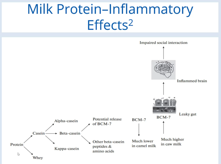 Is Camel Milk Good for Autistic Kids? - Awetism.net